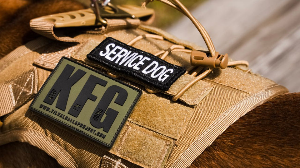 K9 Veterans Day: Honoring Our Four-Legged Heroes