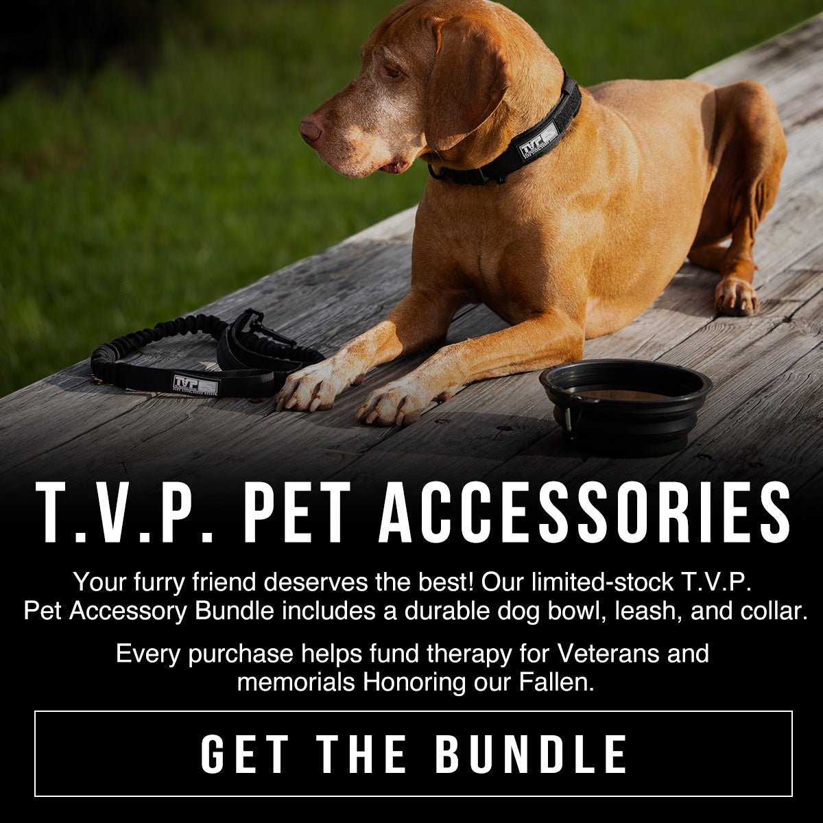 Til Valhalla Project | "Where Heroes Live On Forever"